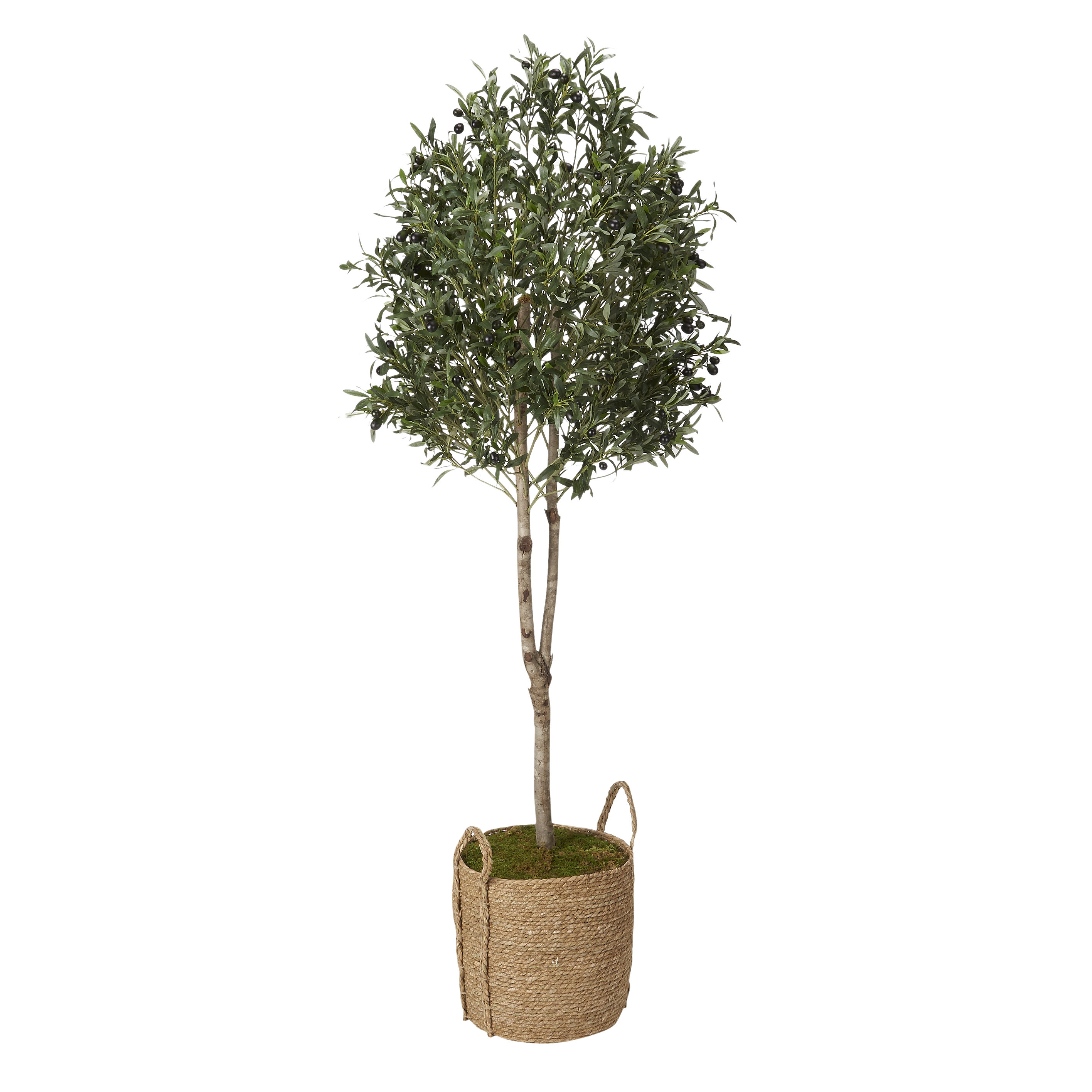 Primrue 6' Olive Tree In Round Tan Basket | Wayfair