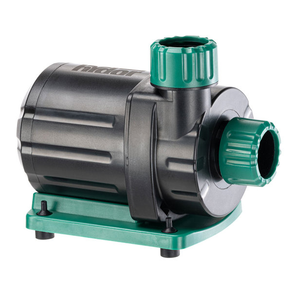Pumps | Wayfair.co.uk