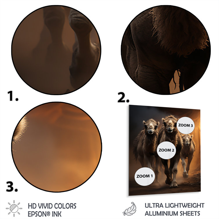 Union Rustic " Camels Desert Symphony " on Metal - Wayfair Canada