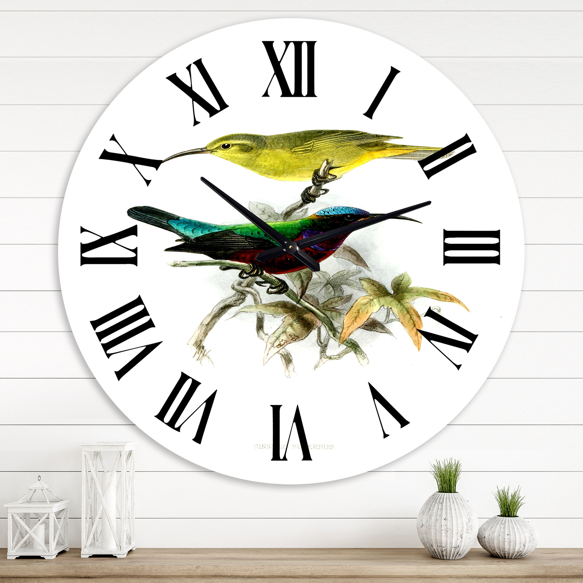East Urban Home Vintage Australian Birds XV - Traditional wall clock ...