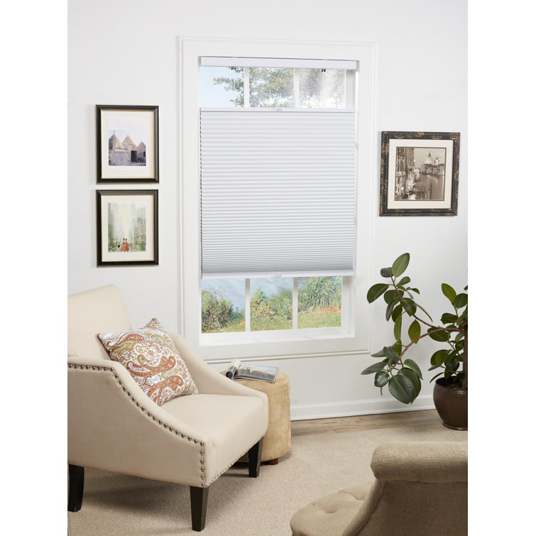 Symple Stuff Cordless Top Down Bottom Up Semi-Sheer Cellular Shade ...