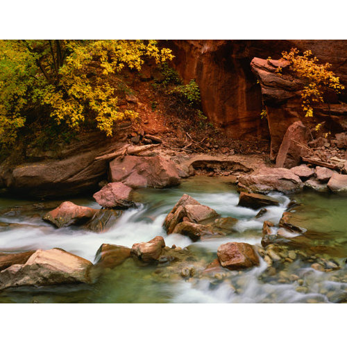 Millwood Pines Posterazzi USA Utah Zion National Park Virgin River ...