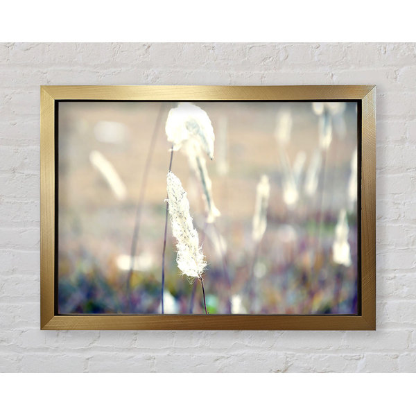 Bright Star Grass Fluff Summer - Single Picture Frame Art Prints ...