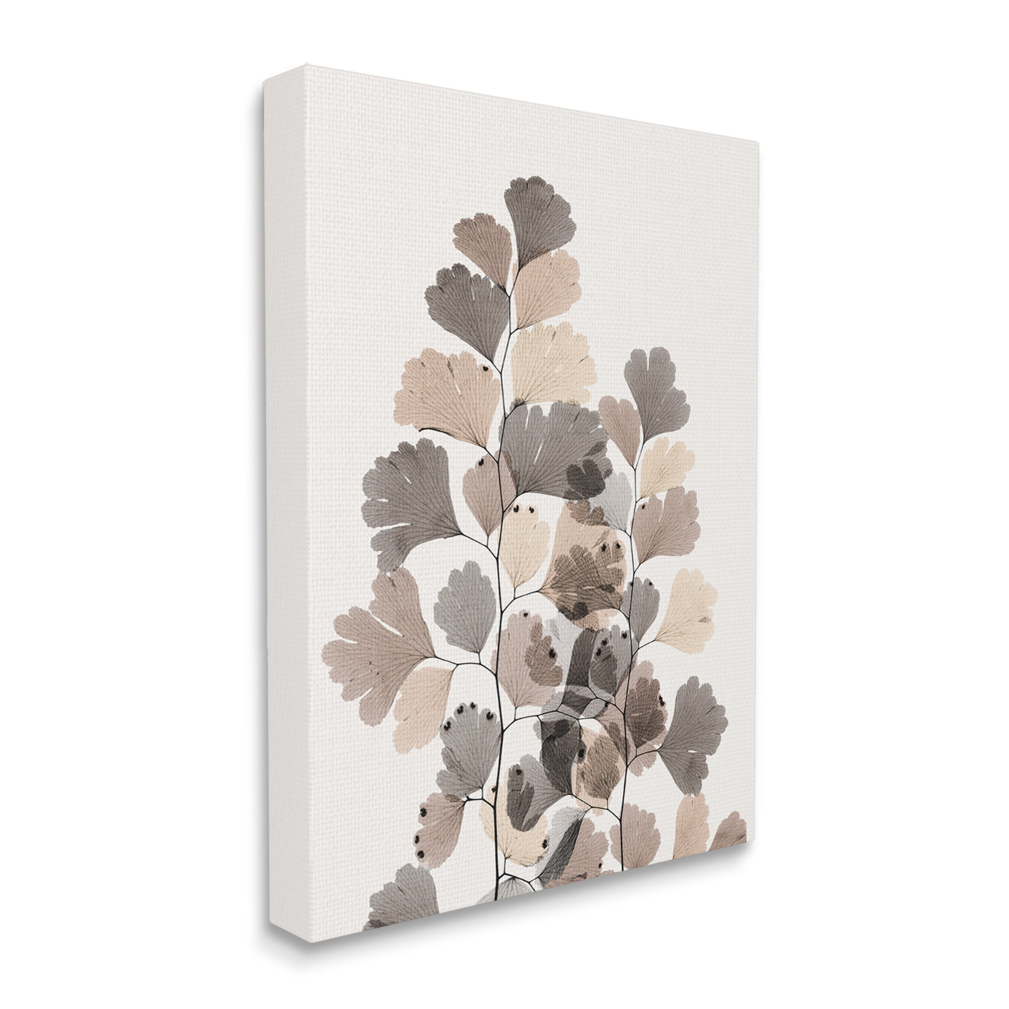 Stupell Industries Modern Ginkgo Leaf Arrangement Translucent Brown ...