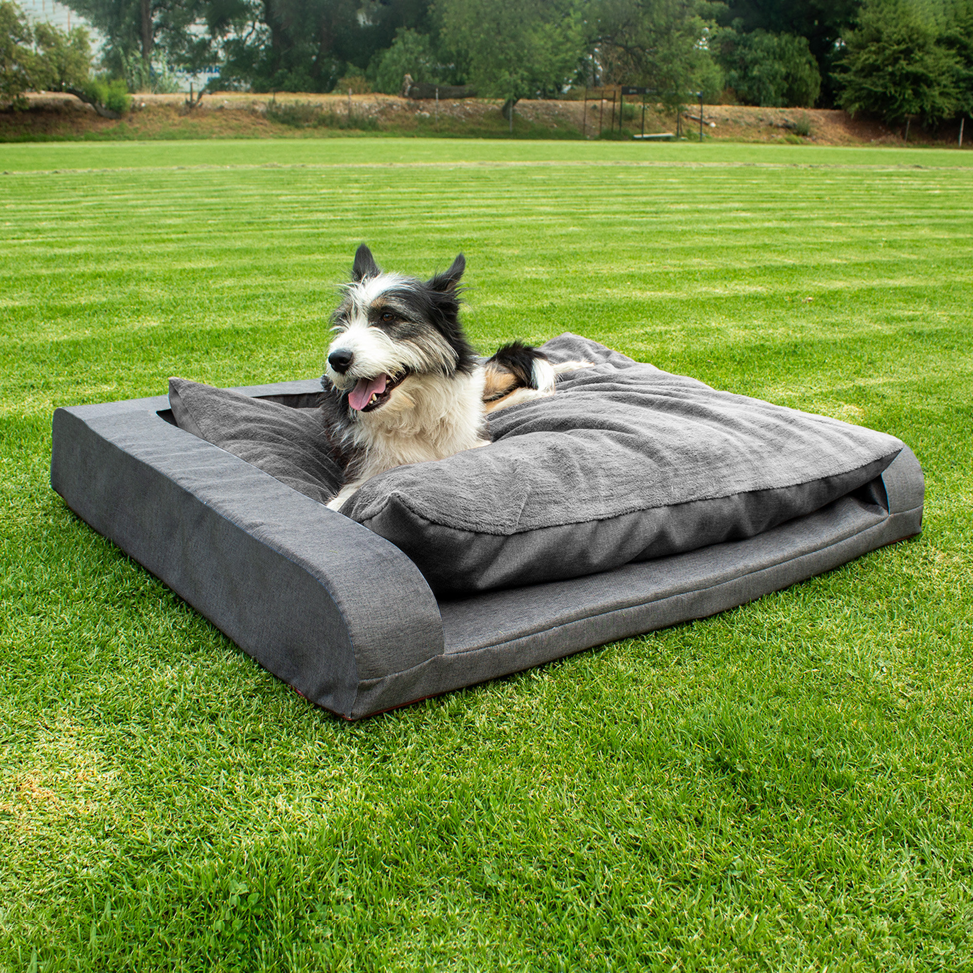 Tucker Murphy Pet™ Extra Large Pet Bed With Cushion - Wayfair Canada