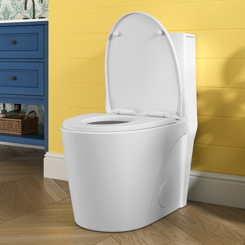 SUNRINX Compact One Piece Modern Elongated Toilet with ADA-Compliant ...