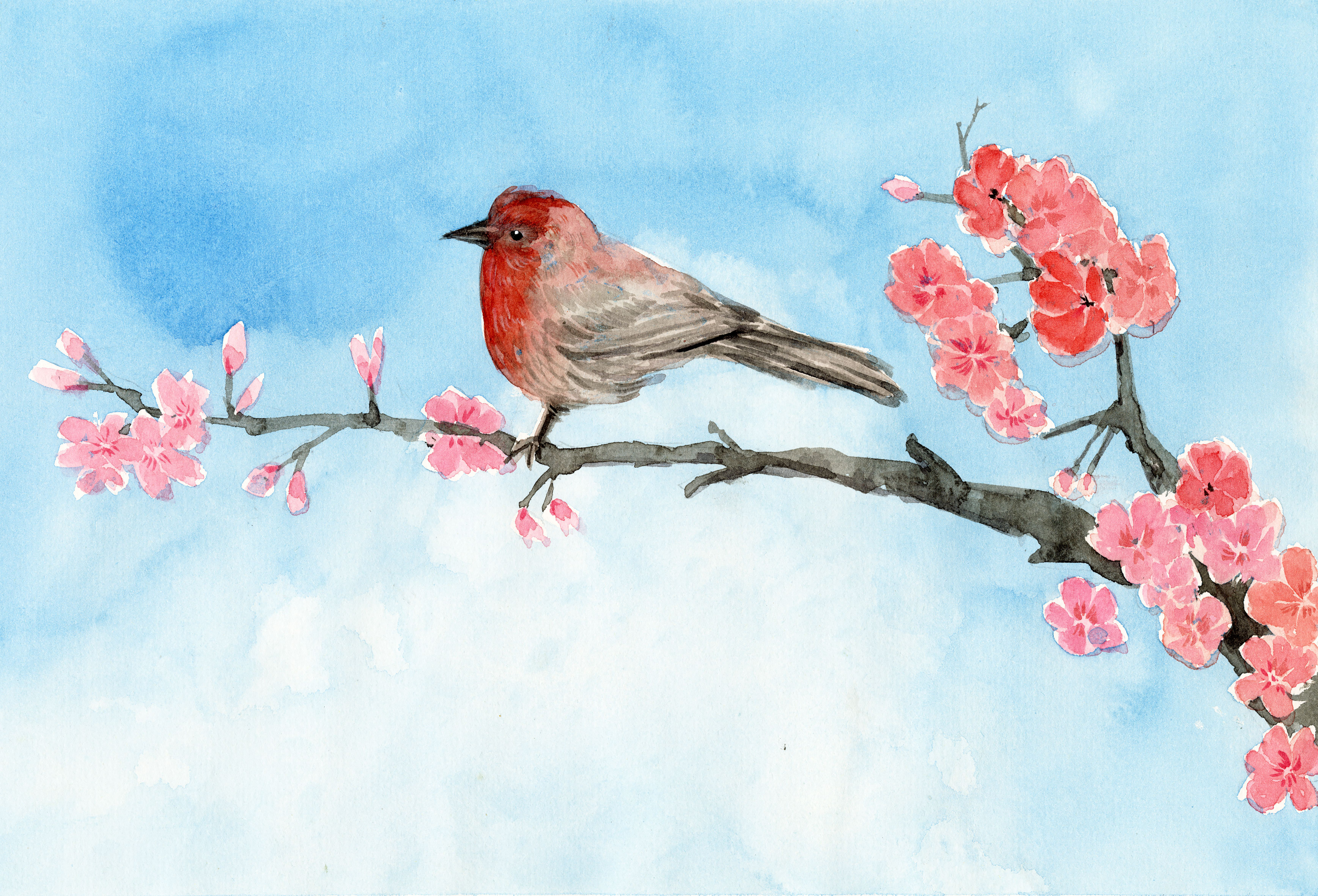 Rosalind Wheeler The Cherry Blossoms IIII - Painting Print | Wayfair.co.uk