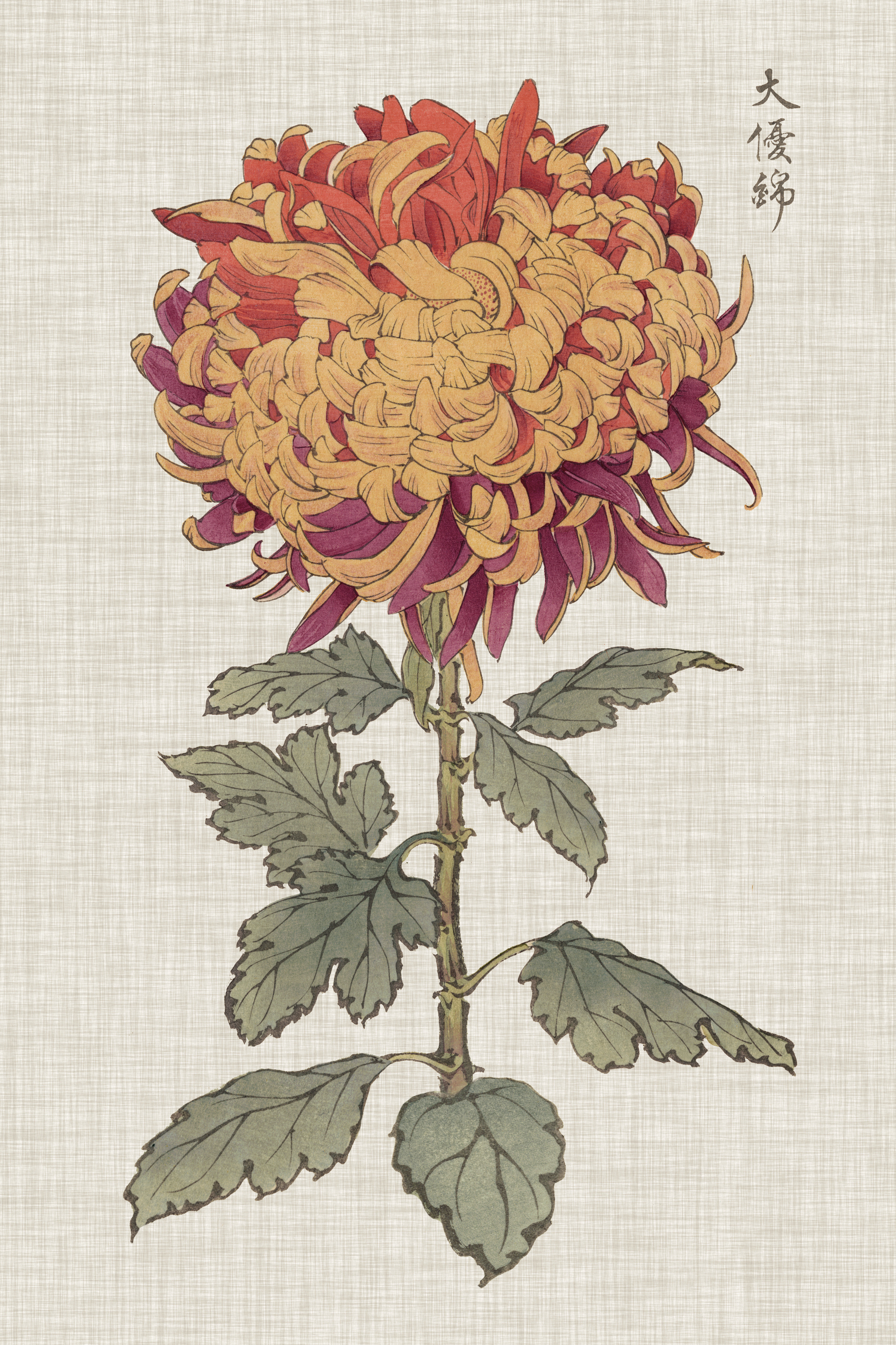 August Grove Vibrant Mums III - Painting | Wayfair.co.uk