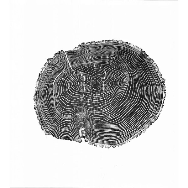 Yoffi Ash by Eric Linton - Print on Canvas | Perigold