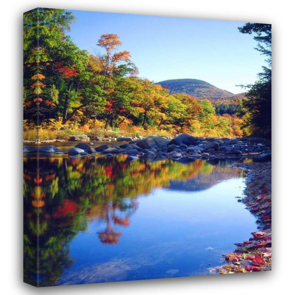 Millwood Pines Talbot Frank, Christopher Gallery Canvas Art: New ...