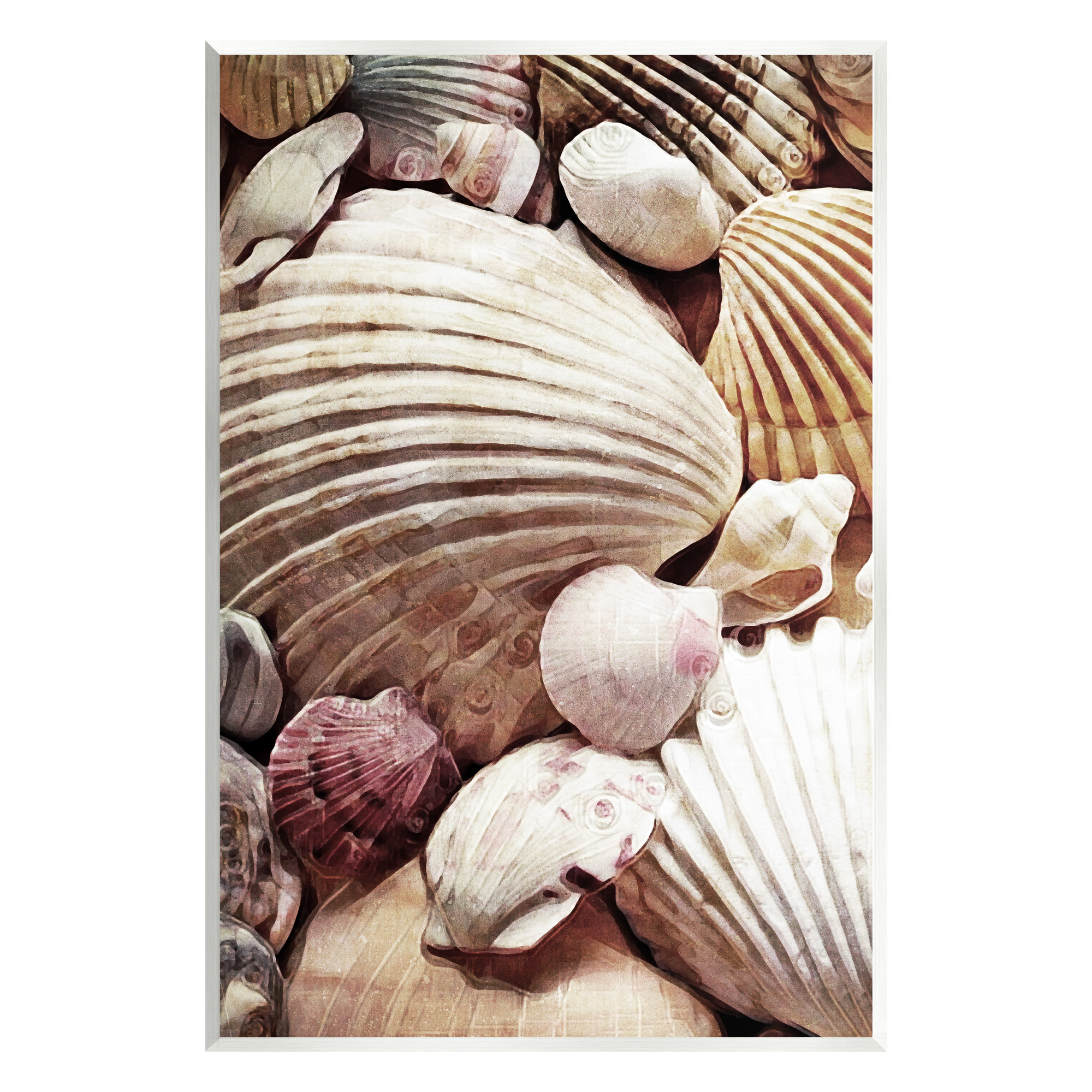 Stupell Industries Various Nautical Clam Conch Shells Floater Canvas ...
