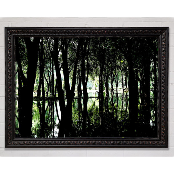 Bright Star Swamp Forest - Single Picture Frame Print | Wayfair.co.uk