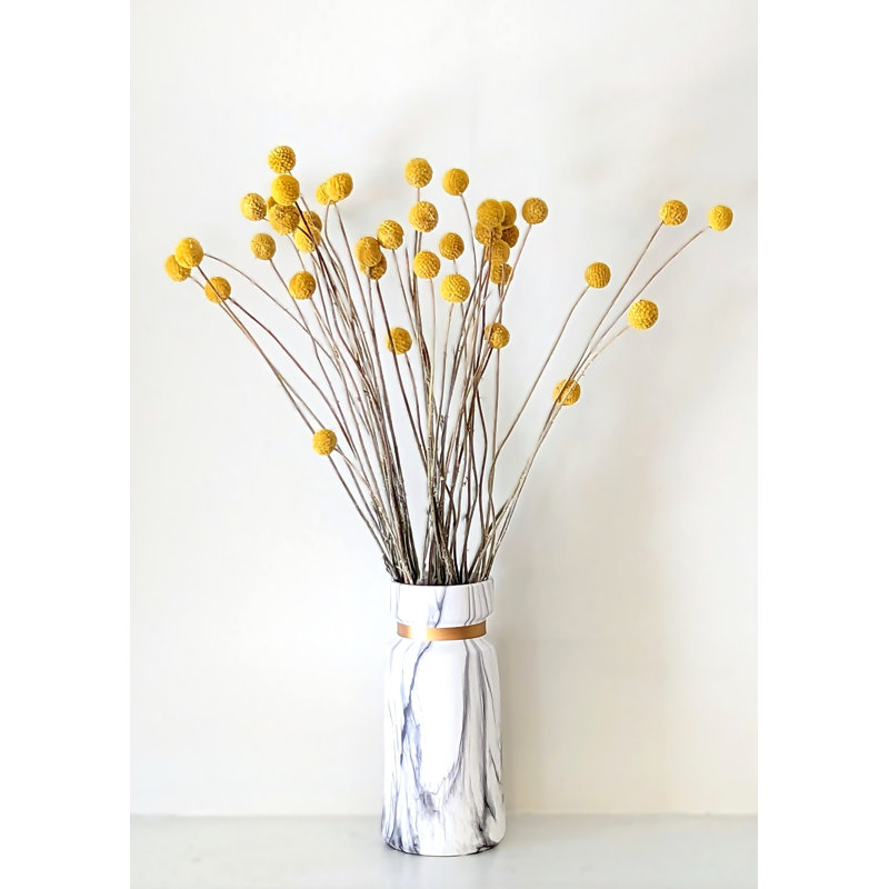 Primrue Preserved Billy Buttons Arrangement in Vase | Wayfair