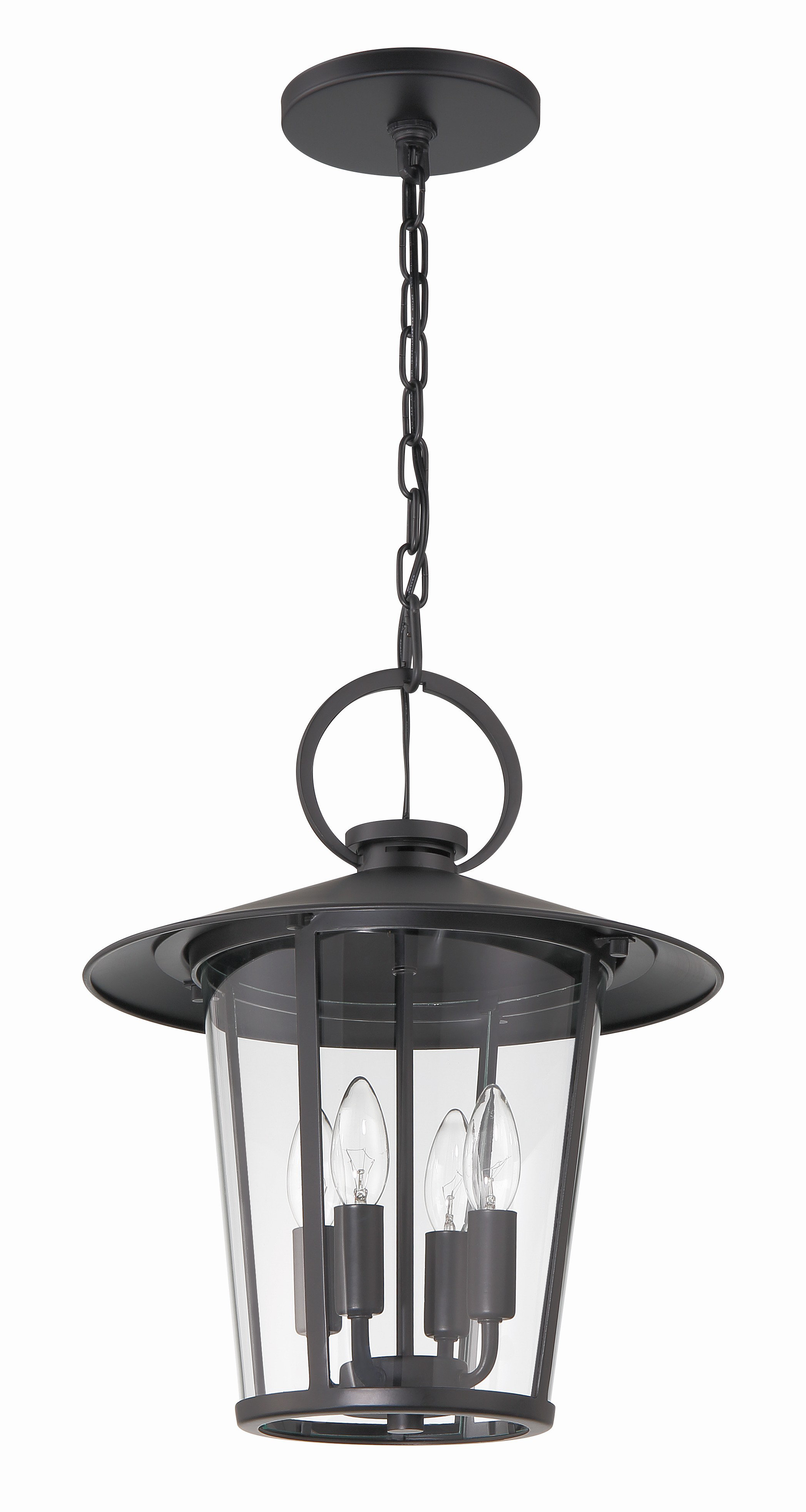 Gracie Oaks Tranesha Black 4 -Bulb 17" H Outdoor Hanging Lantern | Wayfair