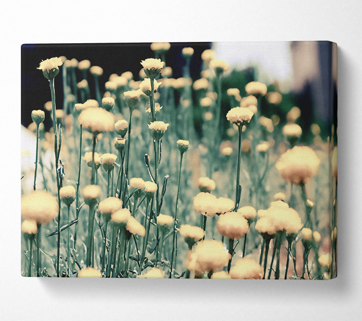 Latitude Run Poppy Stalks Canvas Watercolour | Wayfair.co.uk