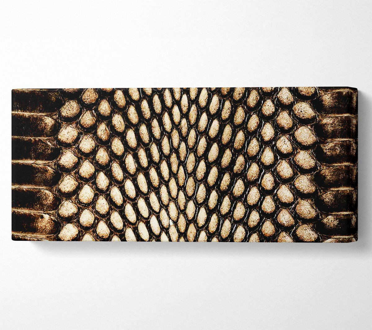 Ebern Designs Snake Scales Panoramic Canvas | Wayfair.co.uk