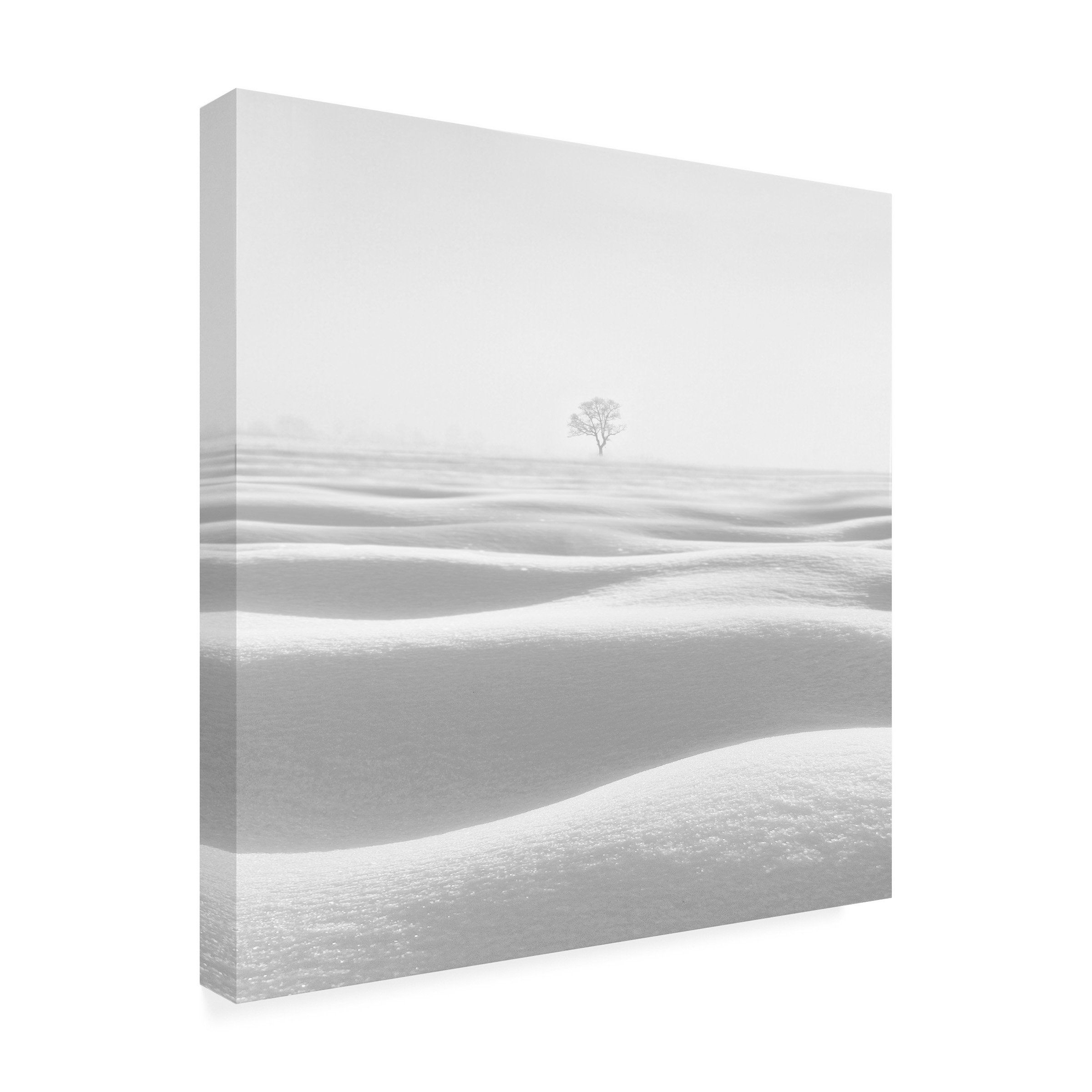 Trademark Art Modern & Contemporary Wave On Canvas by MOSTAFA NODEH ...