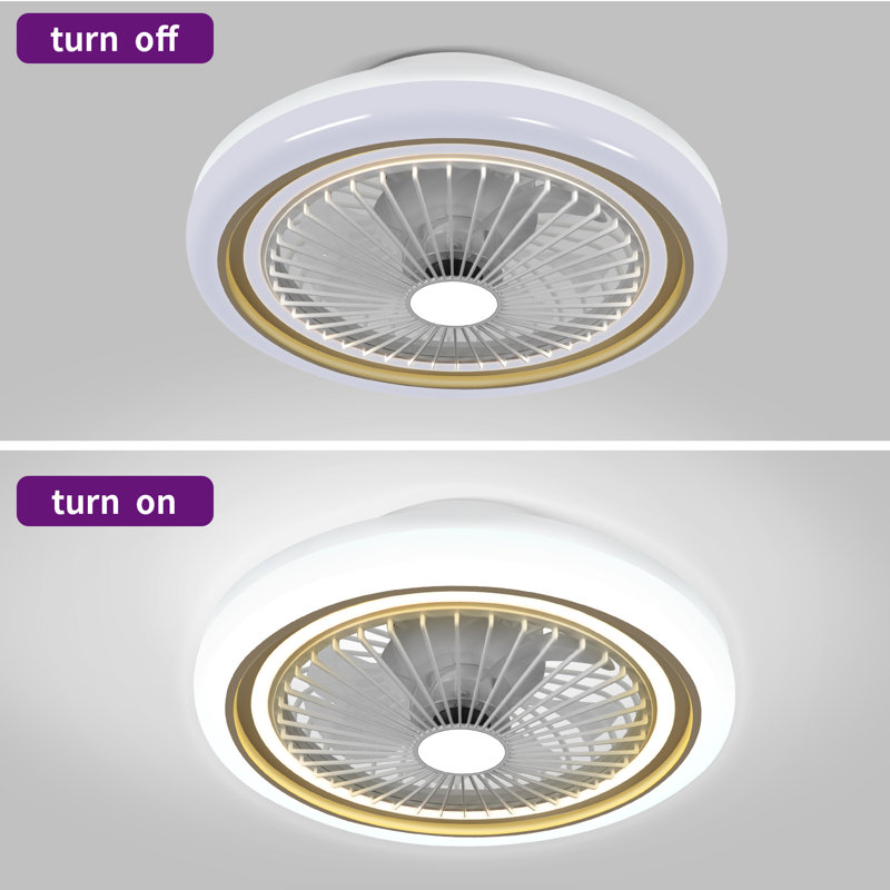 Ebern Designs 19'' Flush Mount Ceiling Fan with Remote Control and LED ...