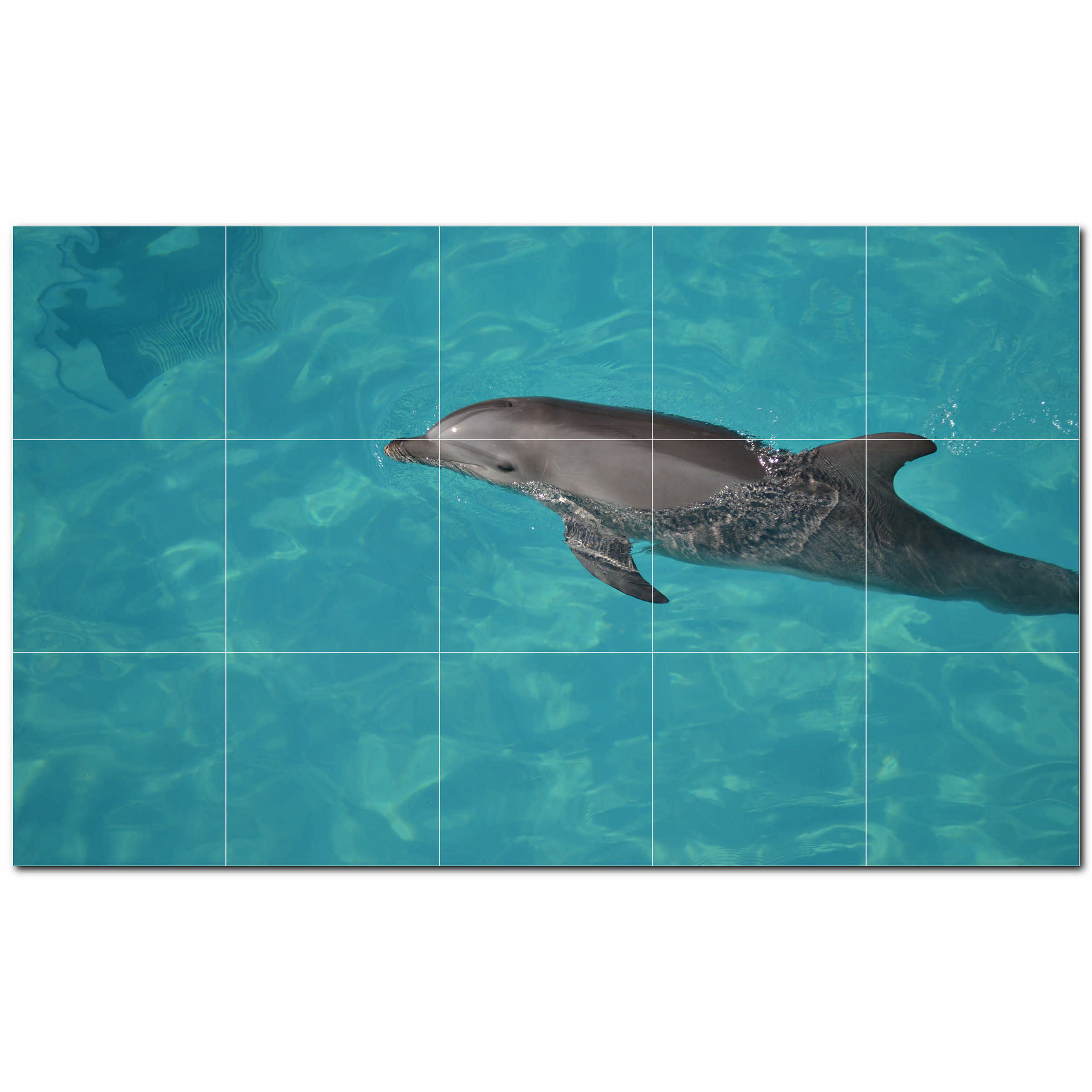 Picture-Tiles.com Dolphin Photo 4.25 x 4.25 | Wayfair