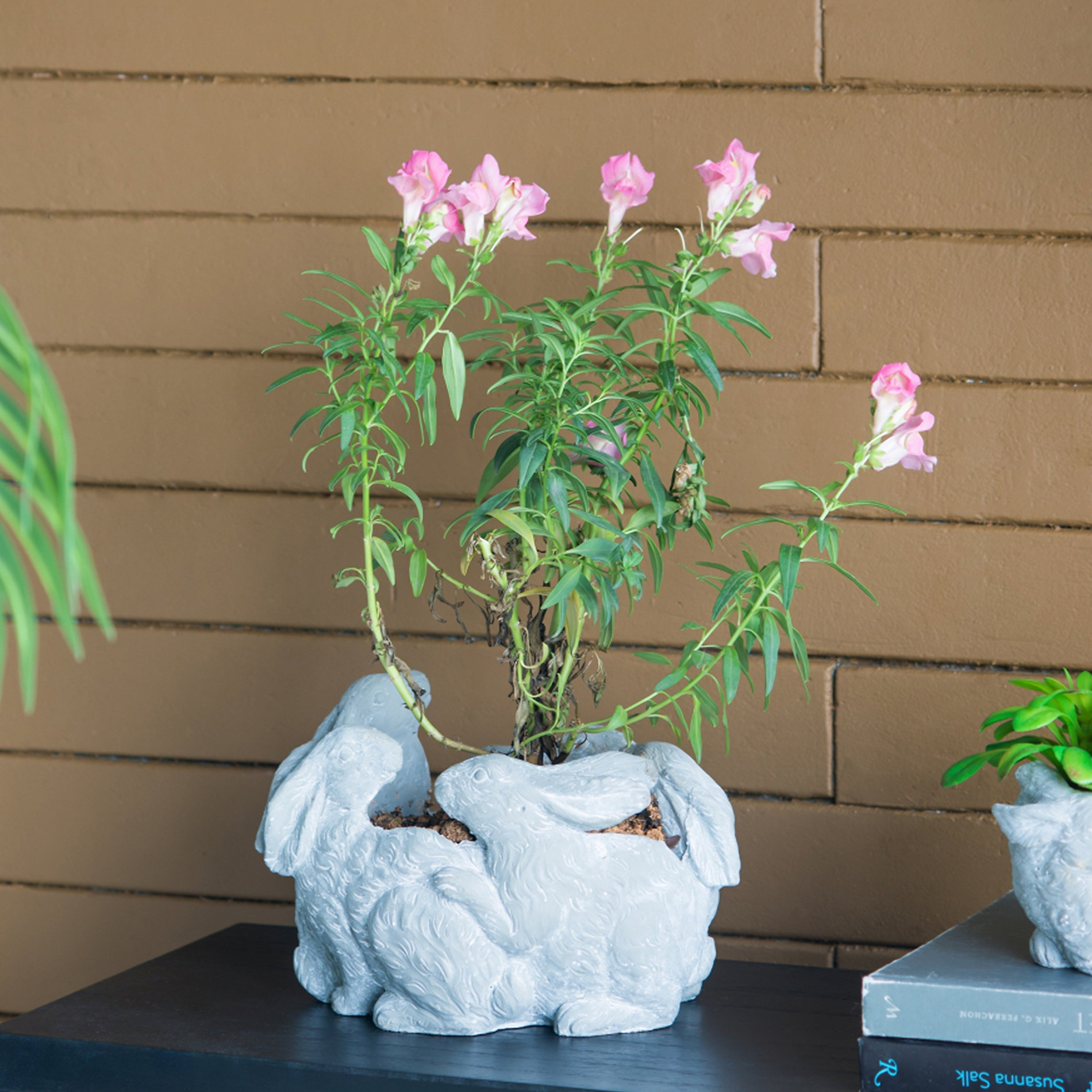 Ophelia & Co. Bunny Planter, Rabbit Container - Wayfair Canada