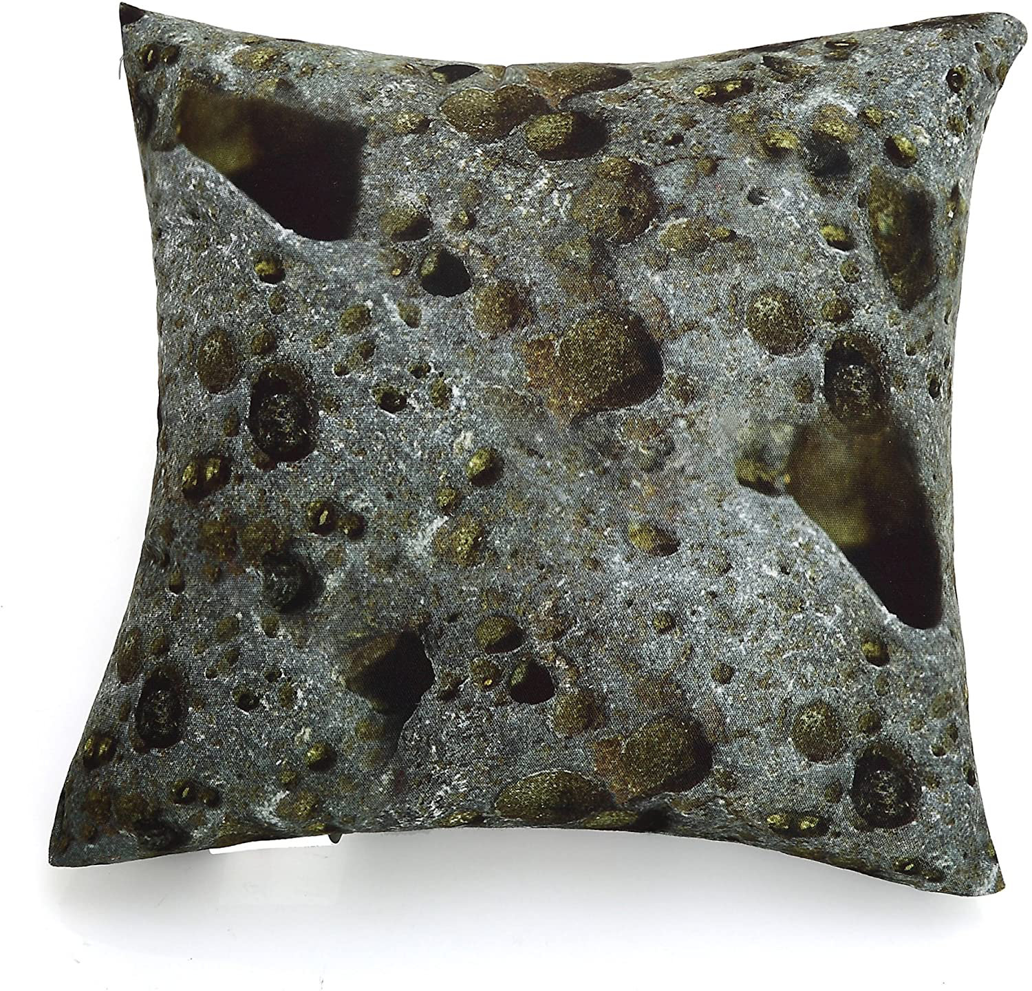 WOWMAX Square Stone Pillow Square Pillow Cover & Insert | Wayfair