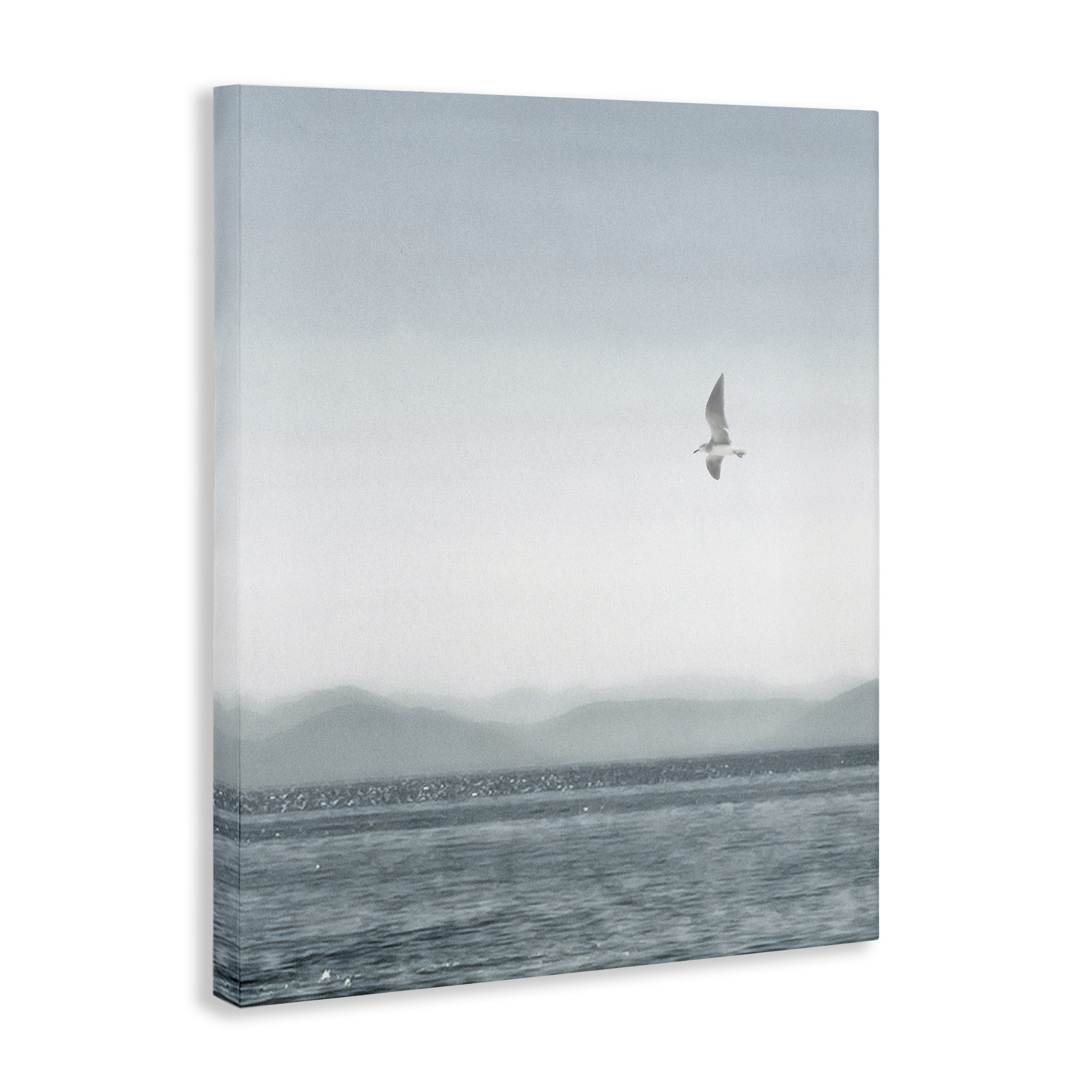 Dovecove Lone Gull over Sea Canvas Wall Art by Noah Bay | Wayfair
