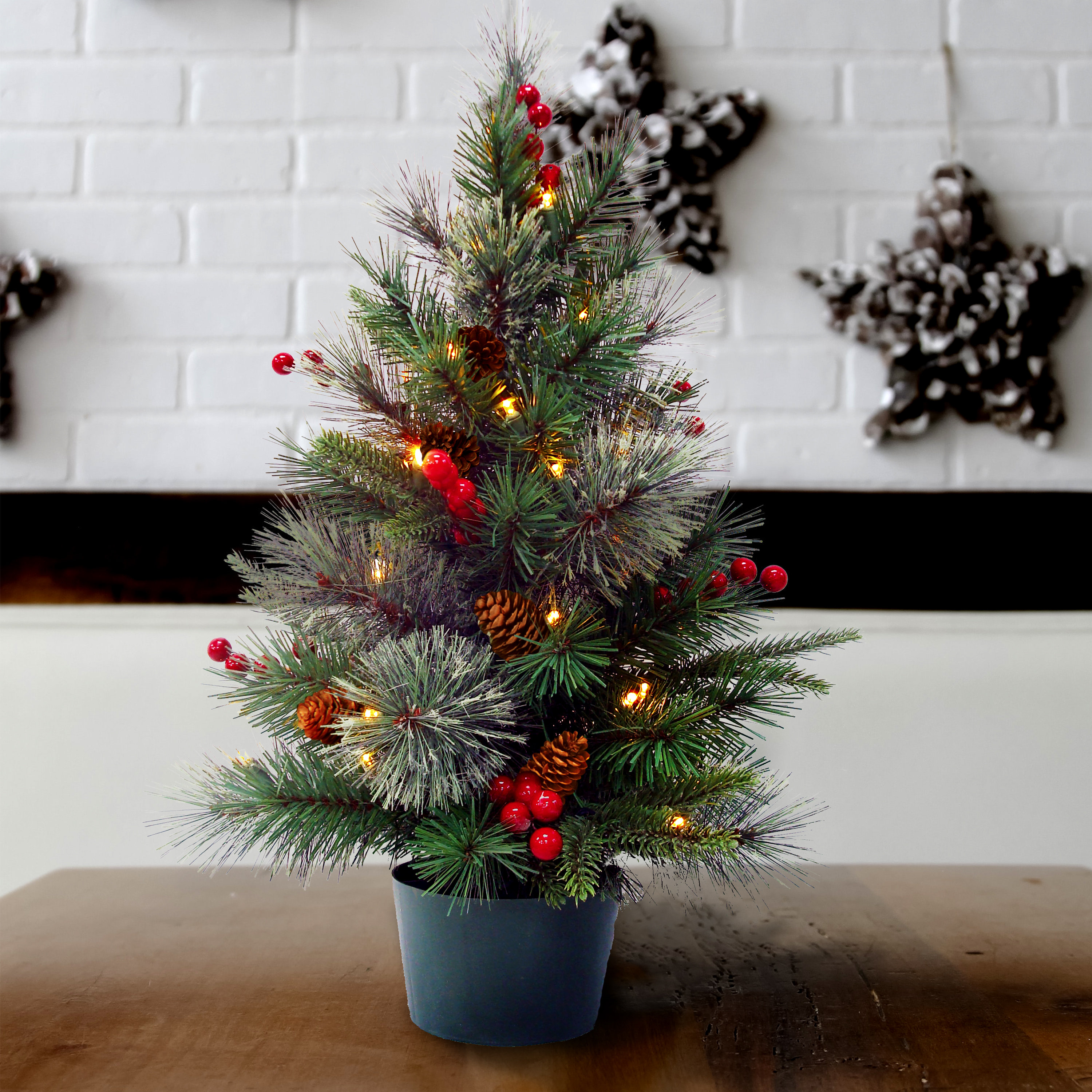 The Holiday Aisle® 2 ft. Colonial Potted Tree with Battery Operated ...