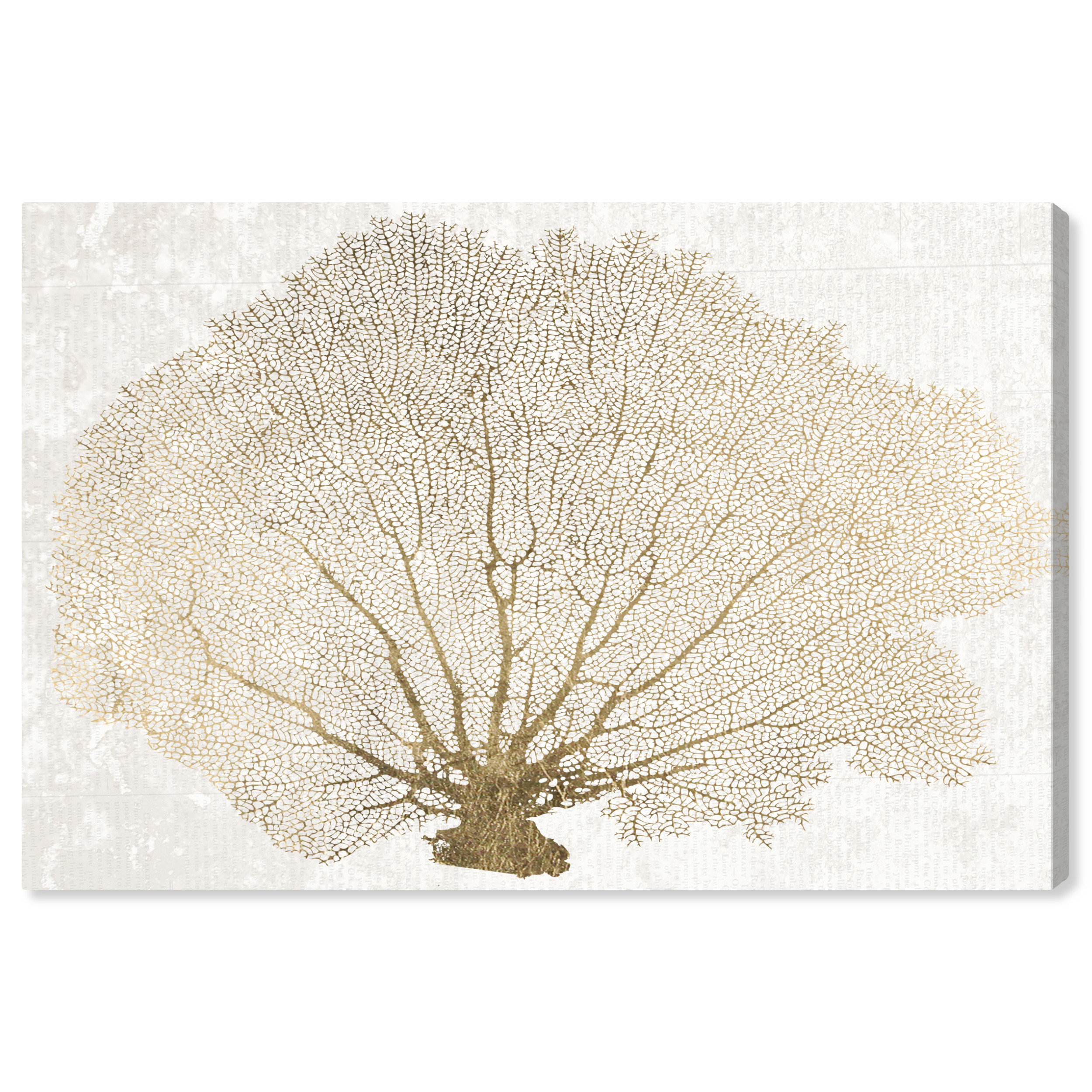 Highland Dunes Nautical and Coastal Gold Coral Fan Marine Life by ...