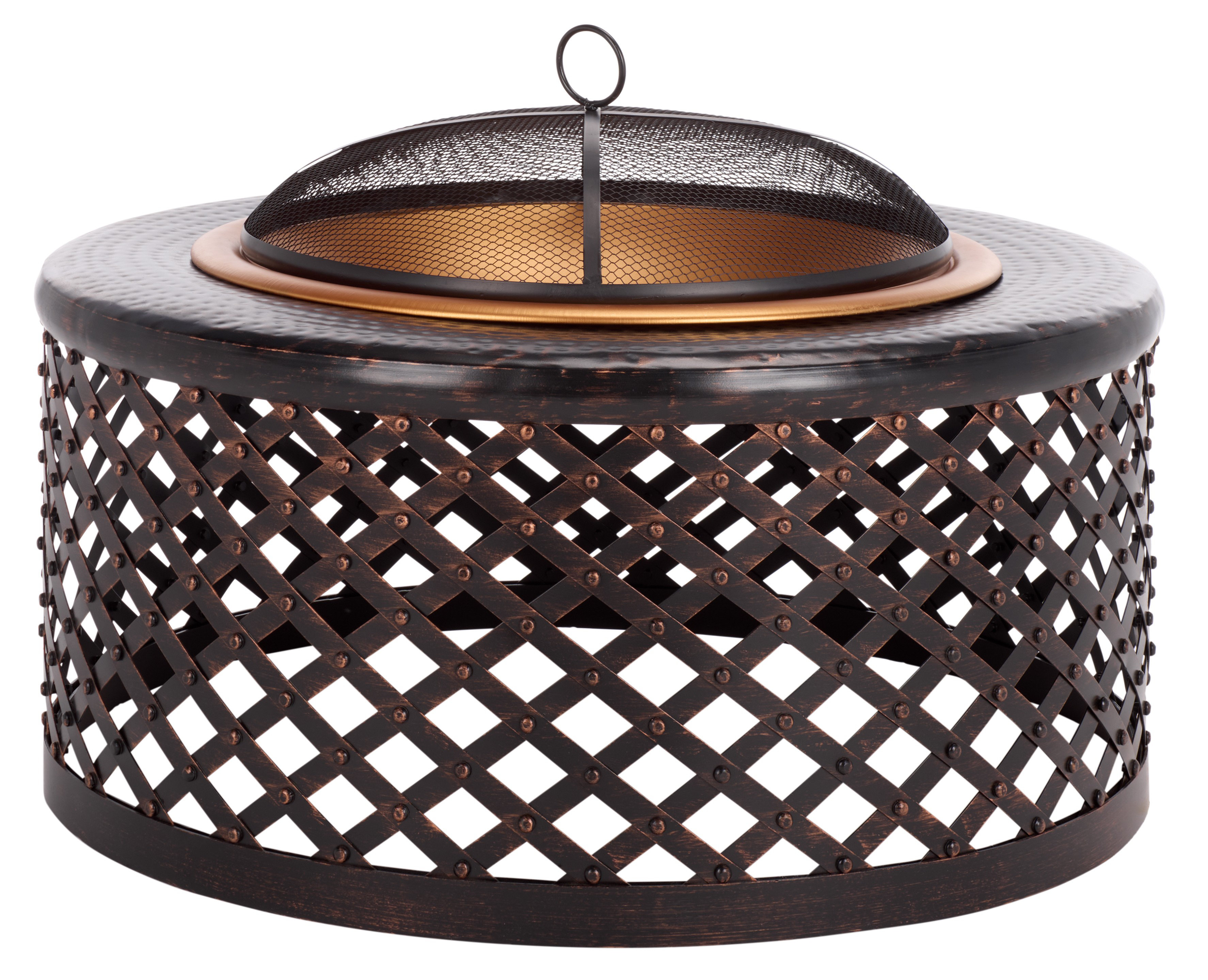 Ophelia & Co. Balsam Cast Iron Wood Burning Fire Pit & Reviews | Wayfair
