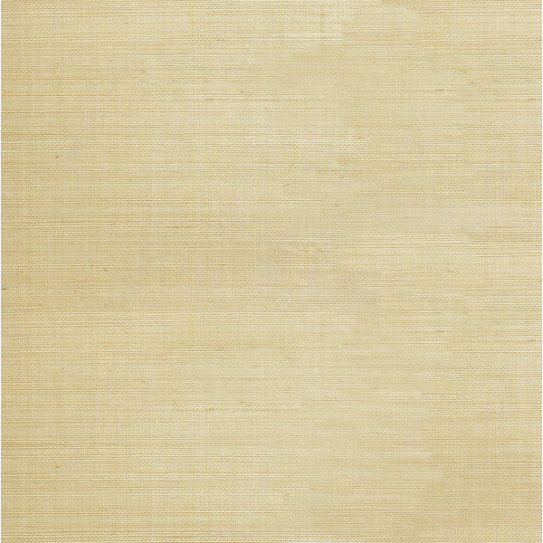Gracie Oaks Joliyah, Chimon Khaki Paper Weave, 24 Feet Long X 36 Inch ...