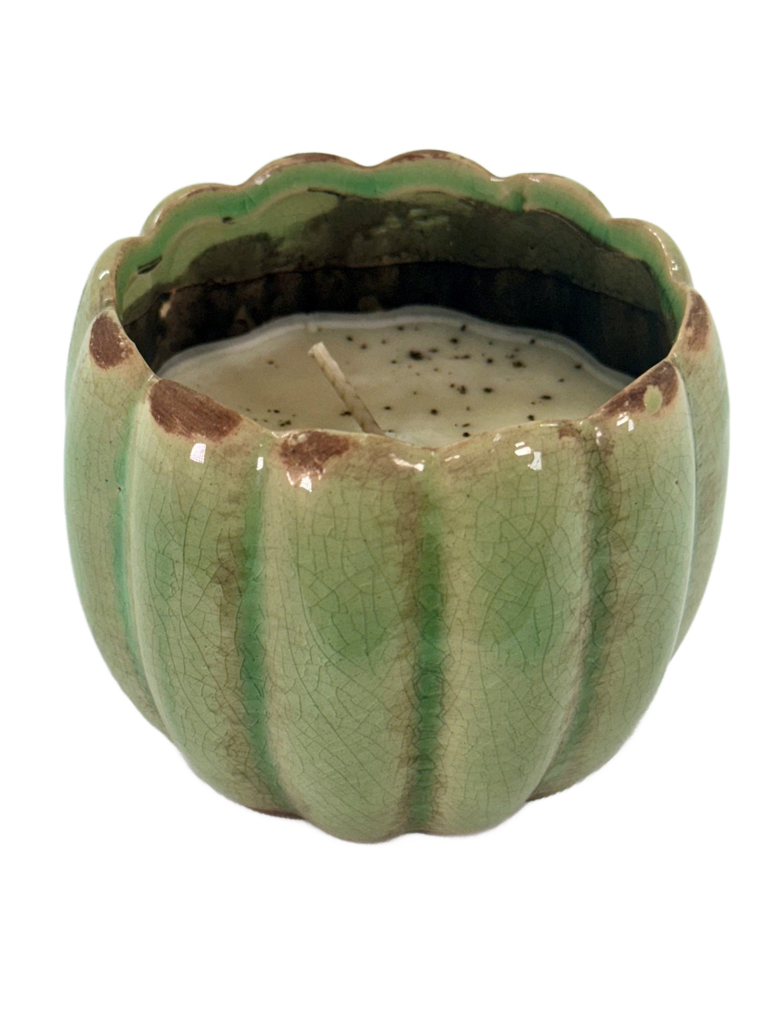 Ophelia & Co. Petal Pot Candle Honey Soaked Apples Small 8Oz | Wayfair