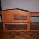 Tucker Murphy Pet™ Heller Weather Resistant Rabbit Hutch with Ramp ...