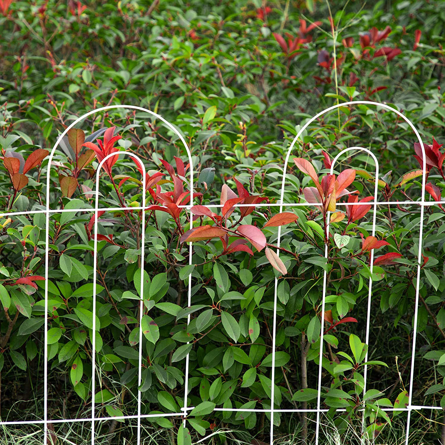 Amagabeli 14 panels Decorative Garden Fences and Borders for Dogs 32in ...