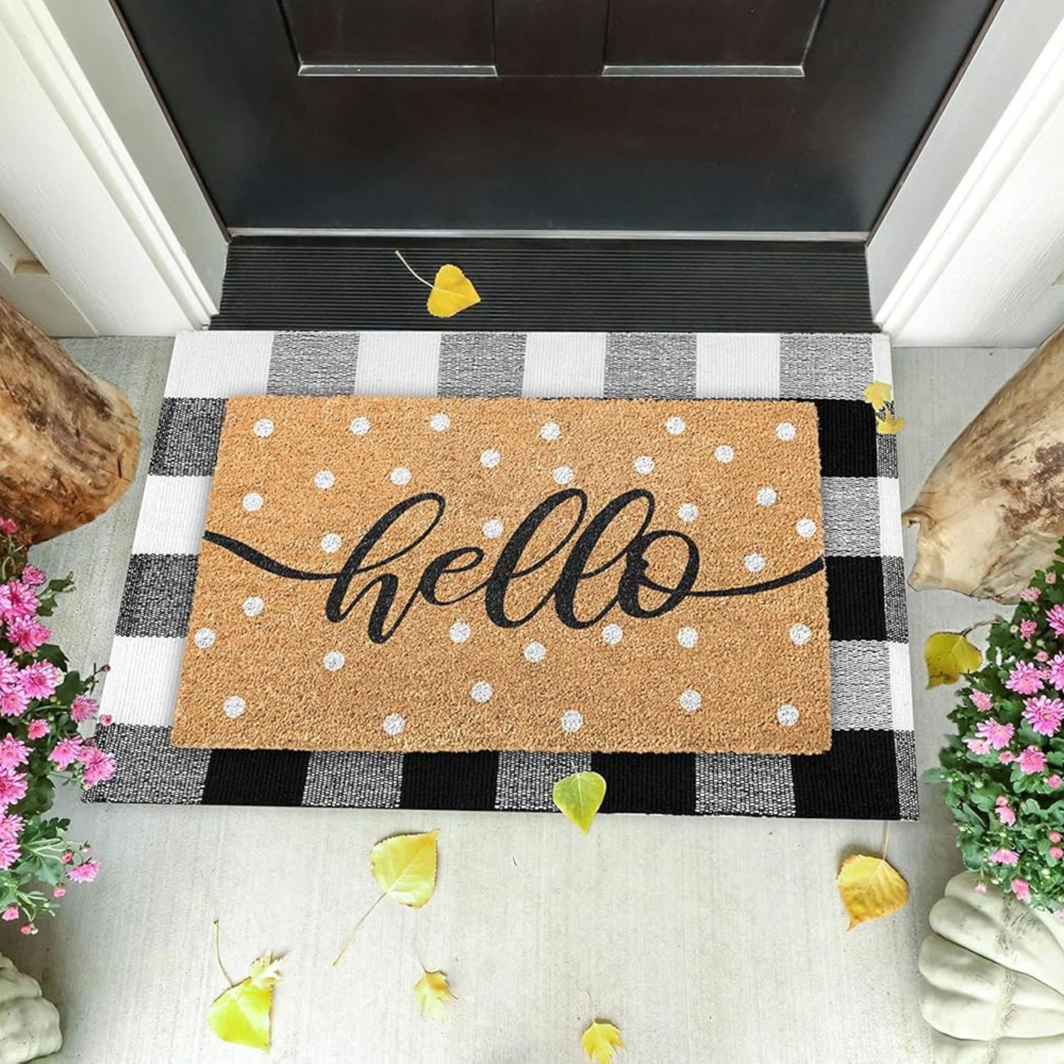 Gracie Oaks 2-Pack Outdoor Front Door Mats | Wayfair