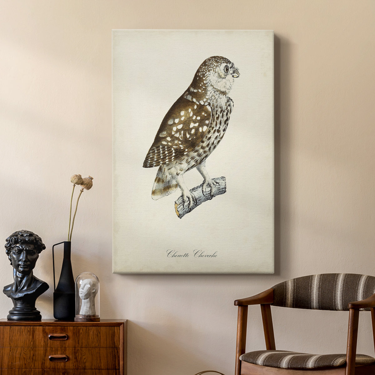 Fleur De Lis Living French Owls I -Custom Wrapped Gallery Cavas | Wayfair