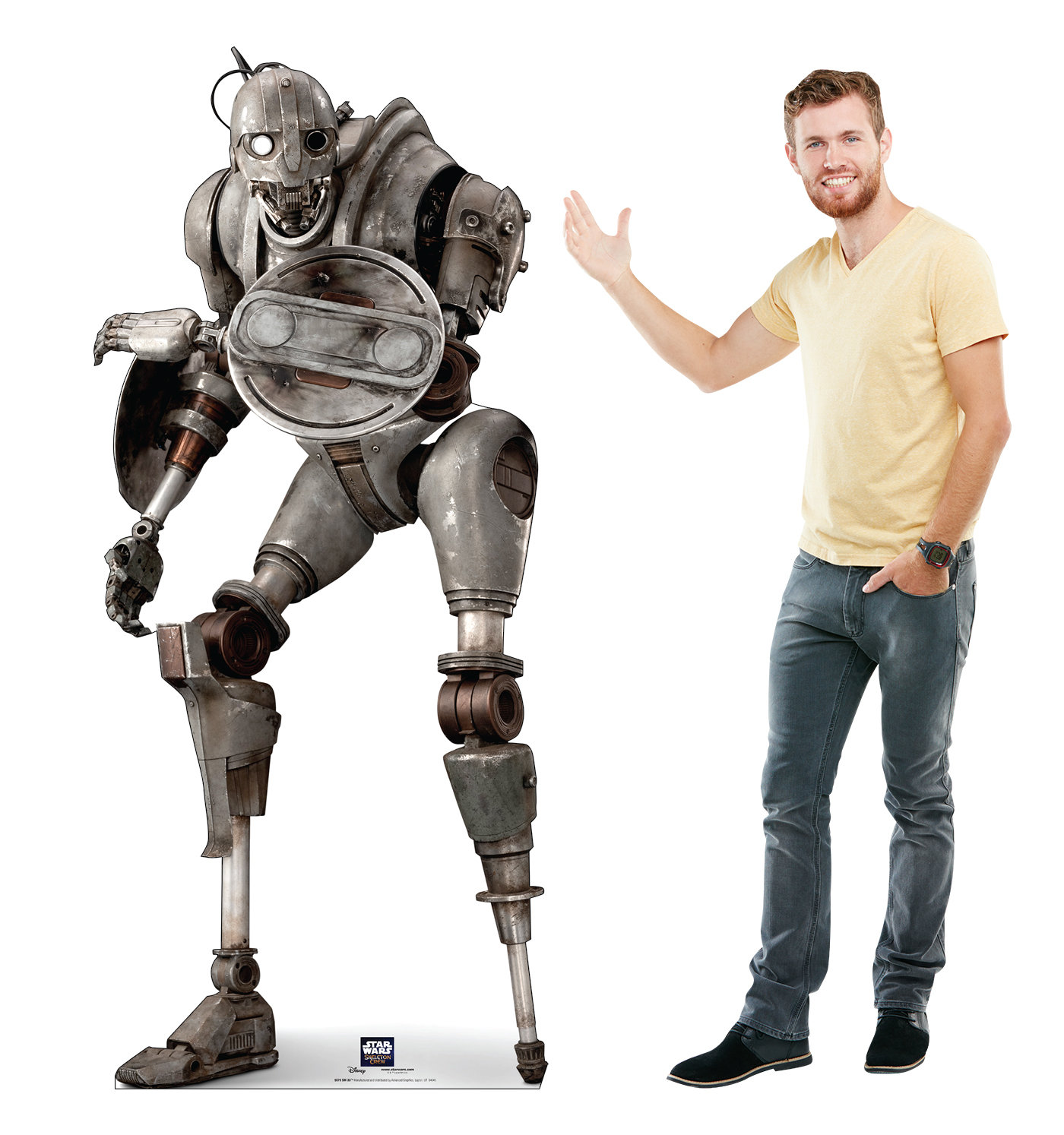 Advanced Graphics SM-33 (Skeleton Crew) | Wayfair