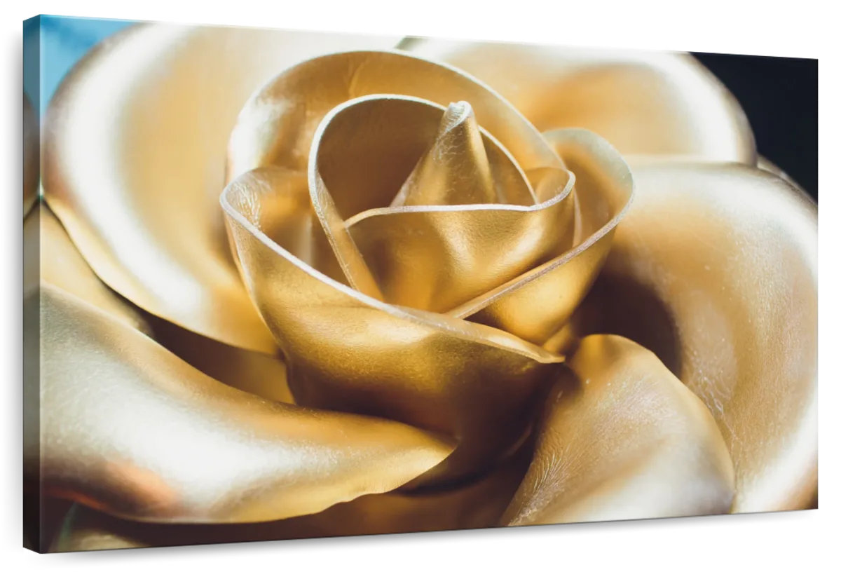 Elephant Stock Gold Rose | Wayfair