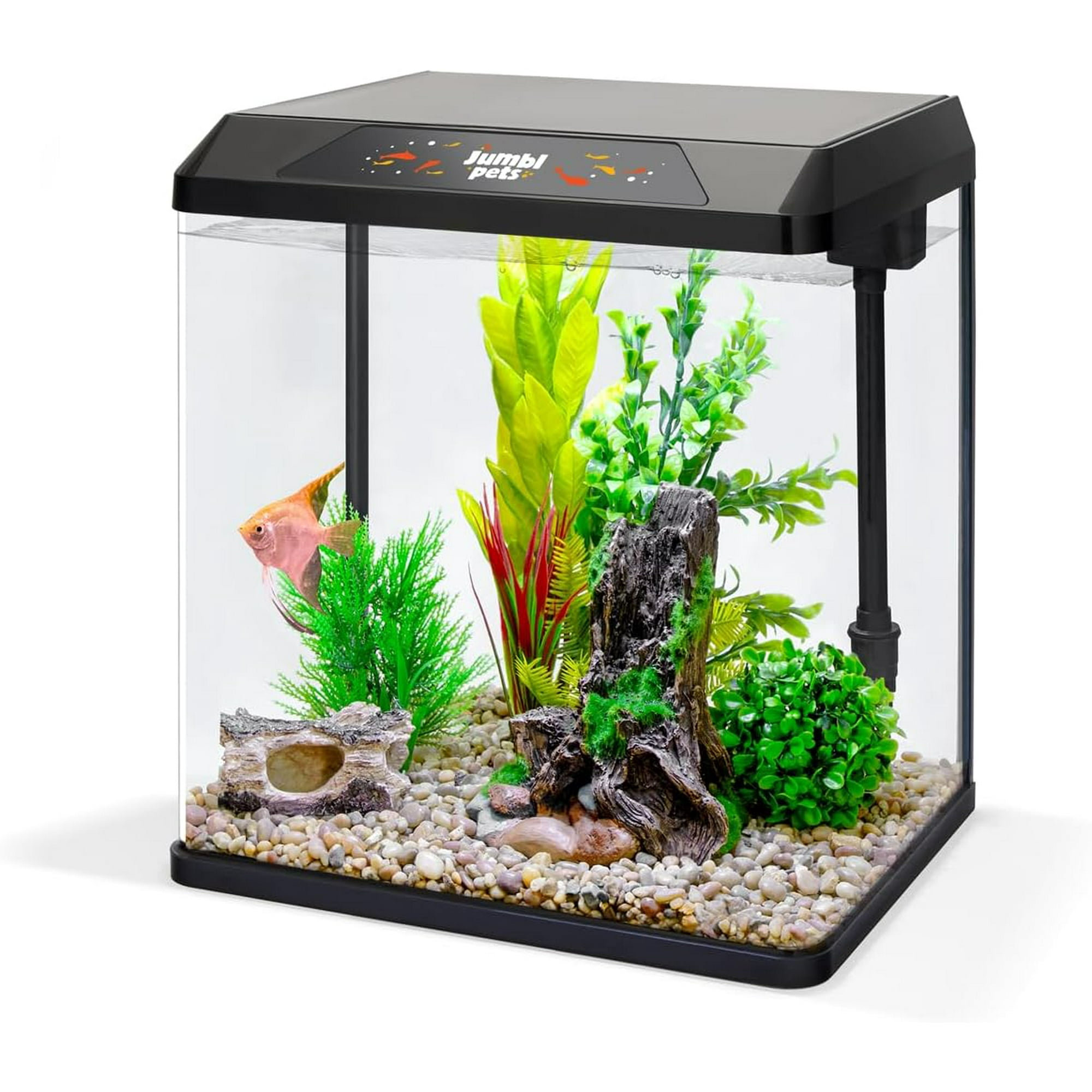 Tucker Murphy Pet™ Starter Fish Aquarium Kit, Beginner Glass Fish Tank ...