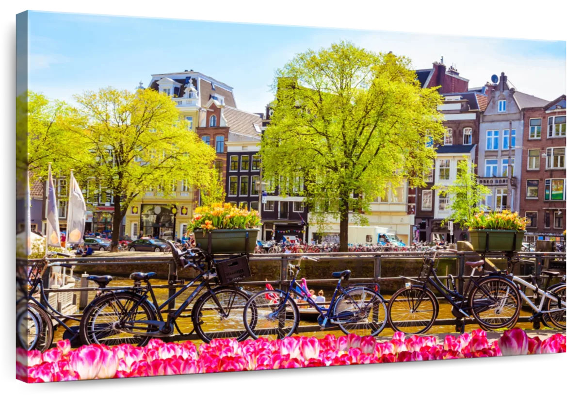Elephant Stock Amsterdam Bridge Scenery - Wayfair Canada