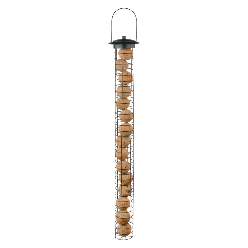 Arlmont & Co. Kusai Tube Bird Feeder | Wayfair