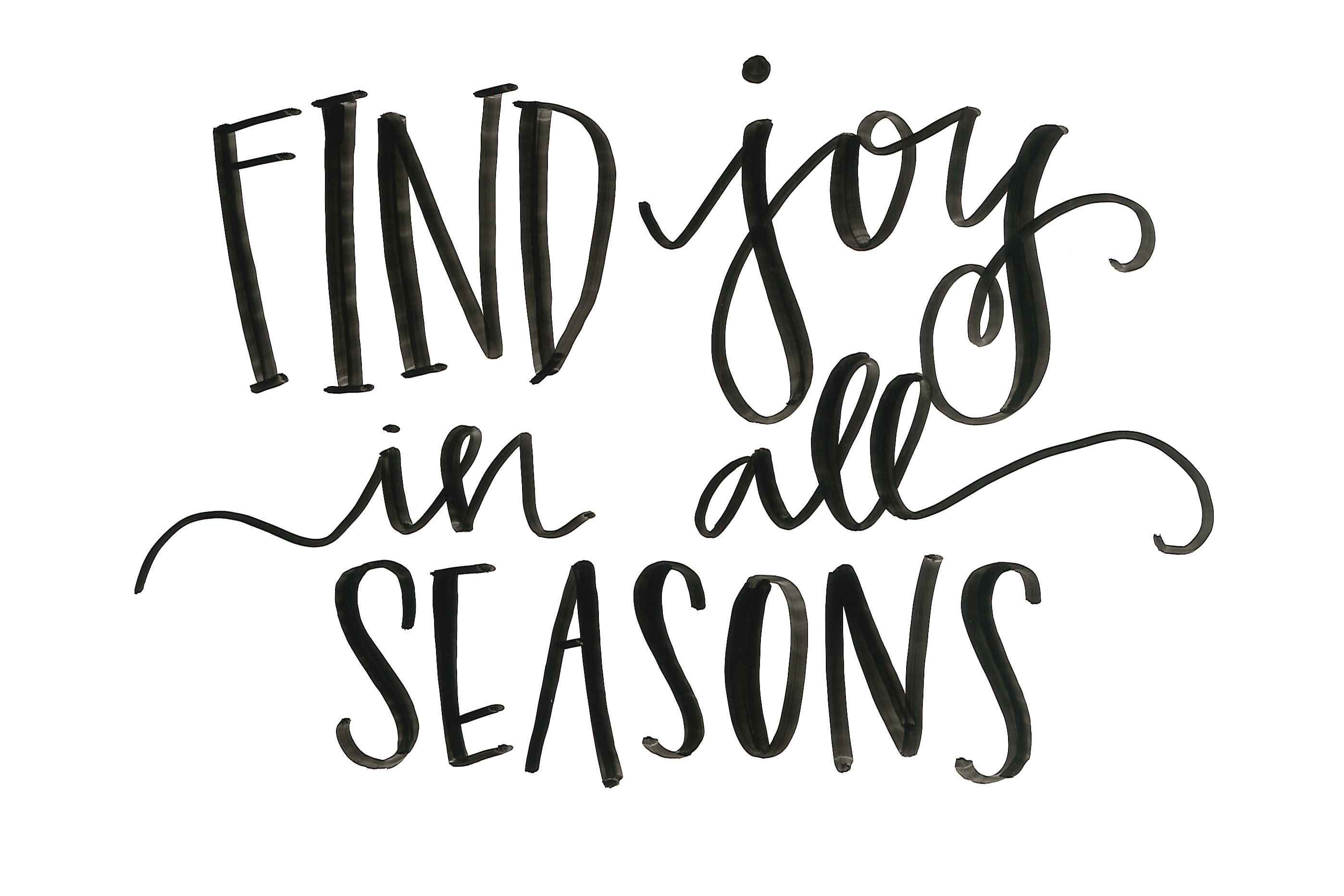 Happy Larry Find Joy In All Seasons 3 | Wayfair.co.uk