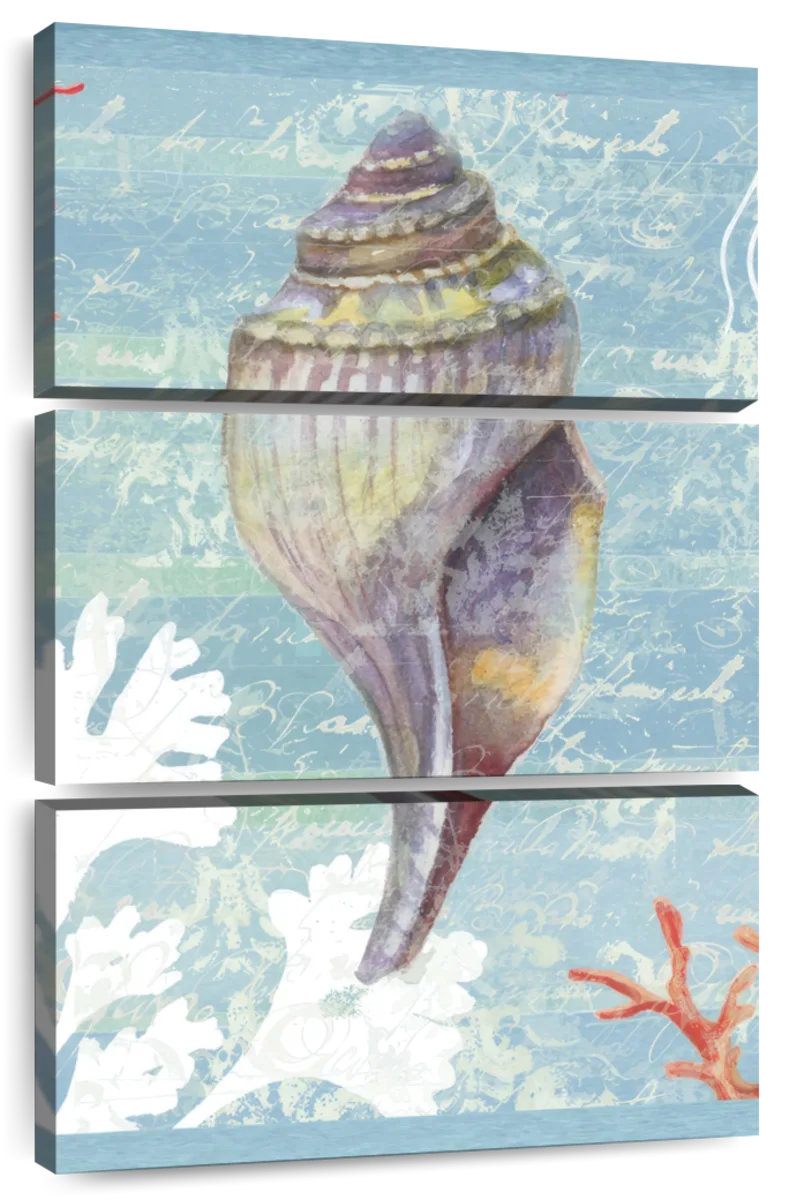 Highland Dunes Shell Collage | Wayfair
