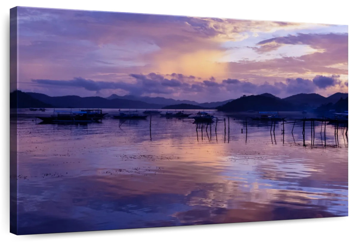 Millwood Pines Alvord Coron Island Sunrise | Wayfair