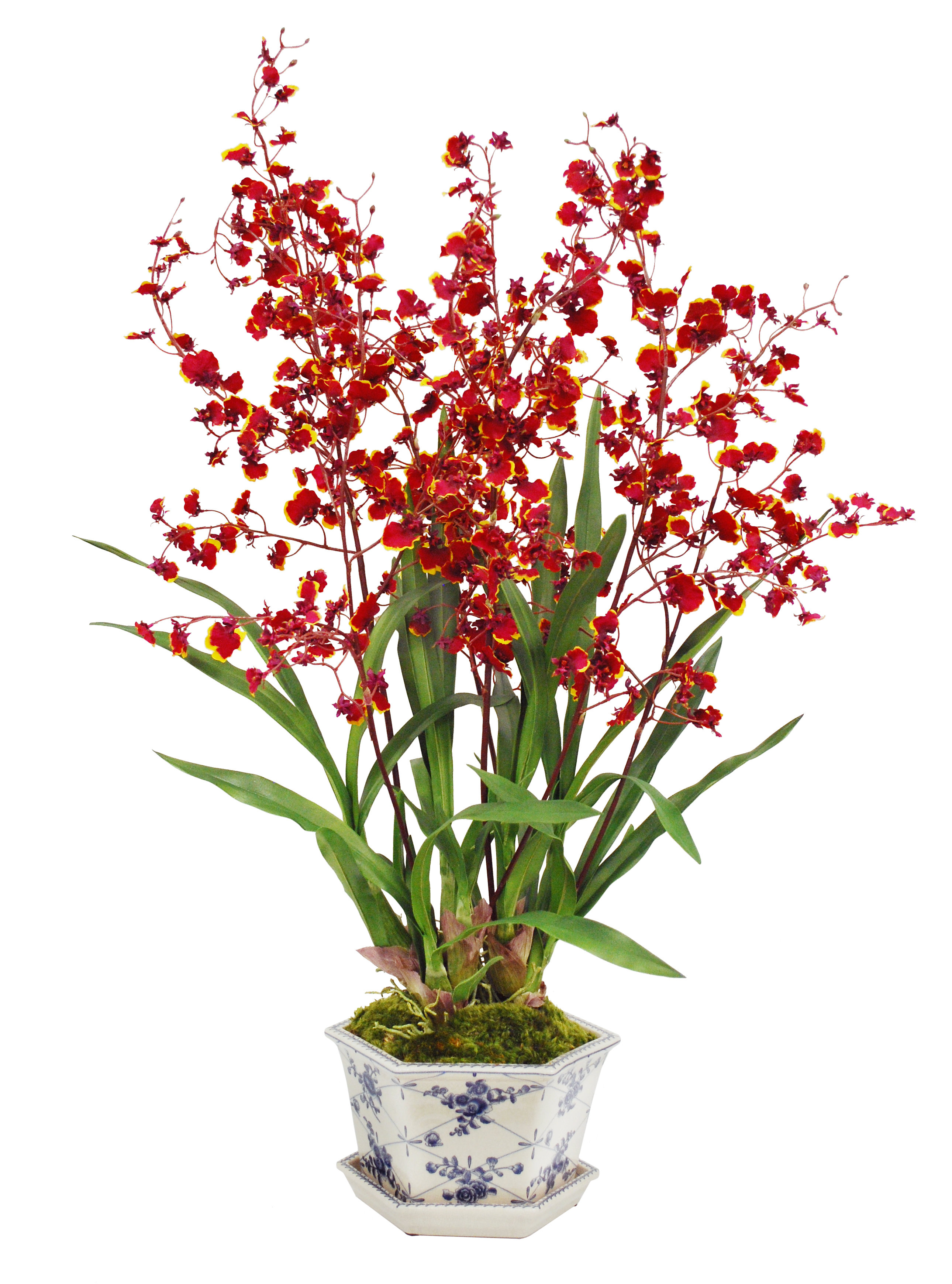 Winward Silks Oncidium Orchid In Cache Rose Trellis Pot | Perigold
