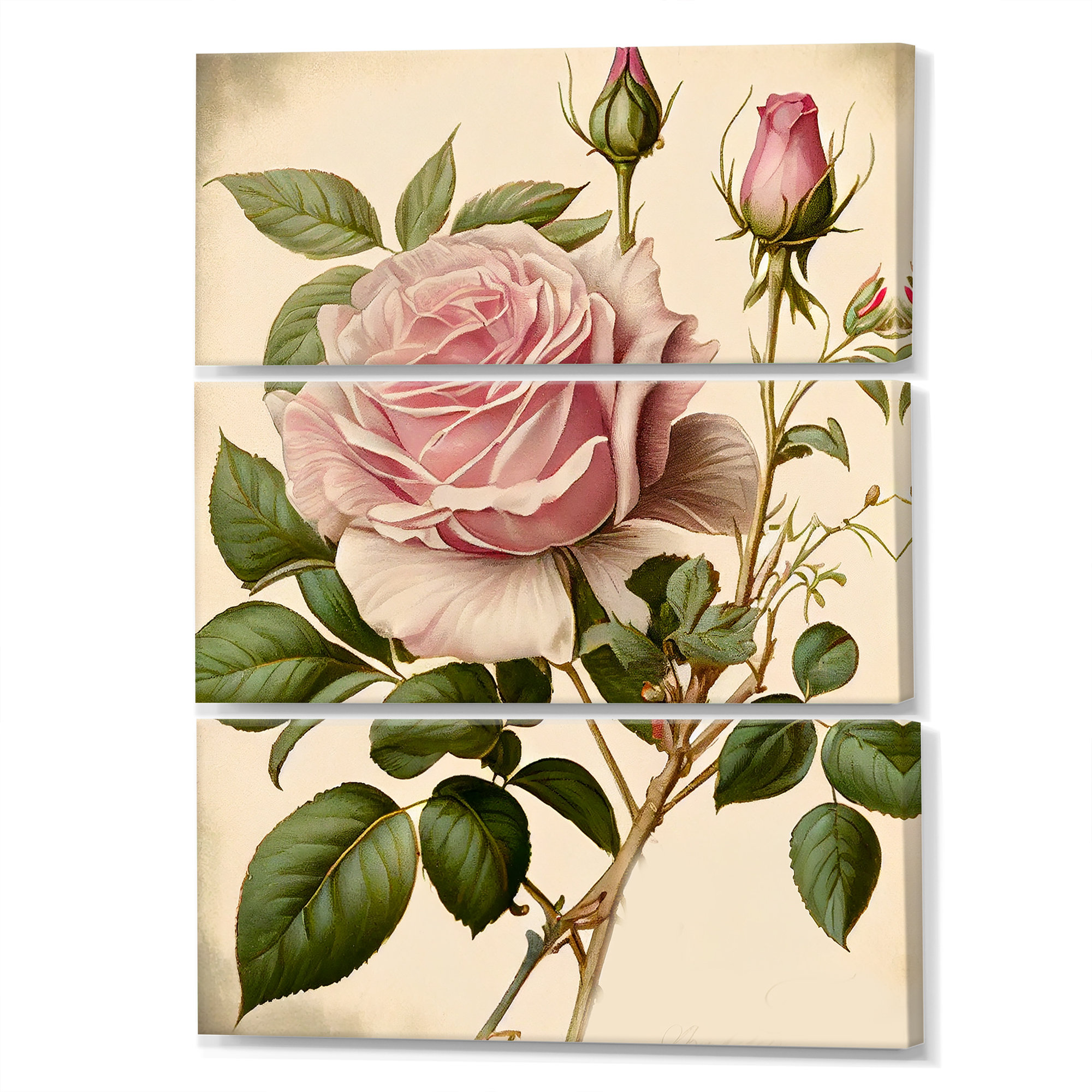 Design Art Pink Rose On Retro Parchment IV - Floral Rose Canvas Wall ...