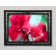 Bright Star Spikey Flower Heads - Single Picture Frame Art Prints ...