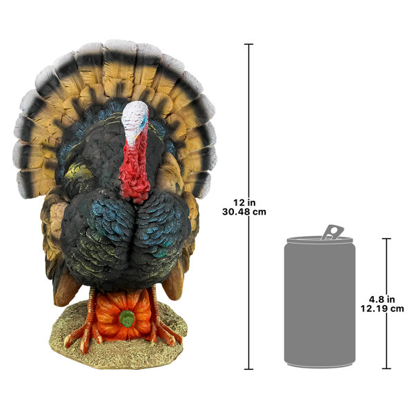 Design Toscano Thomas the Turkey Statue & Reviews | Wayfair