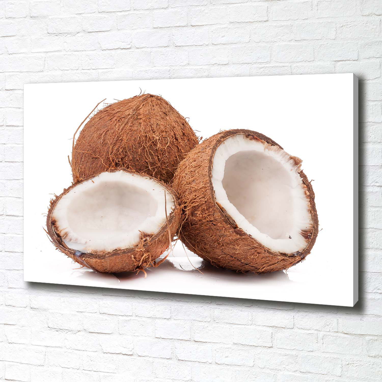 Brayden Studio Coconut - Wrapped Canvas Art Prints | Wayfair.co.uk