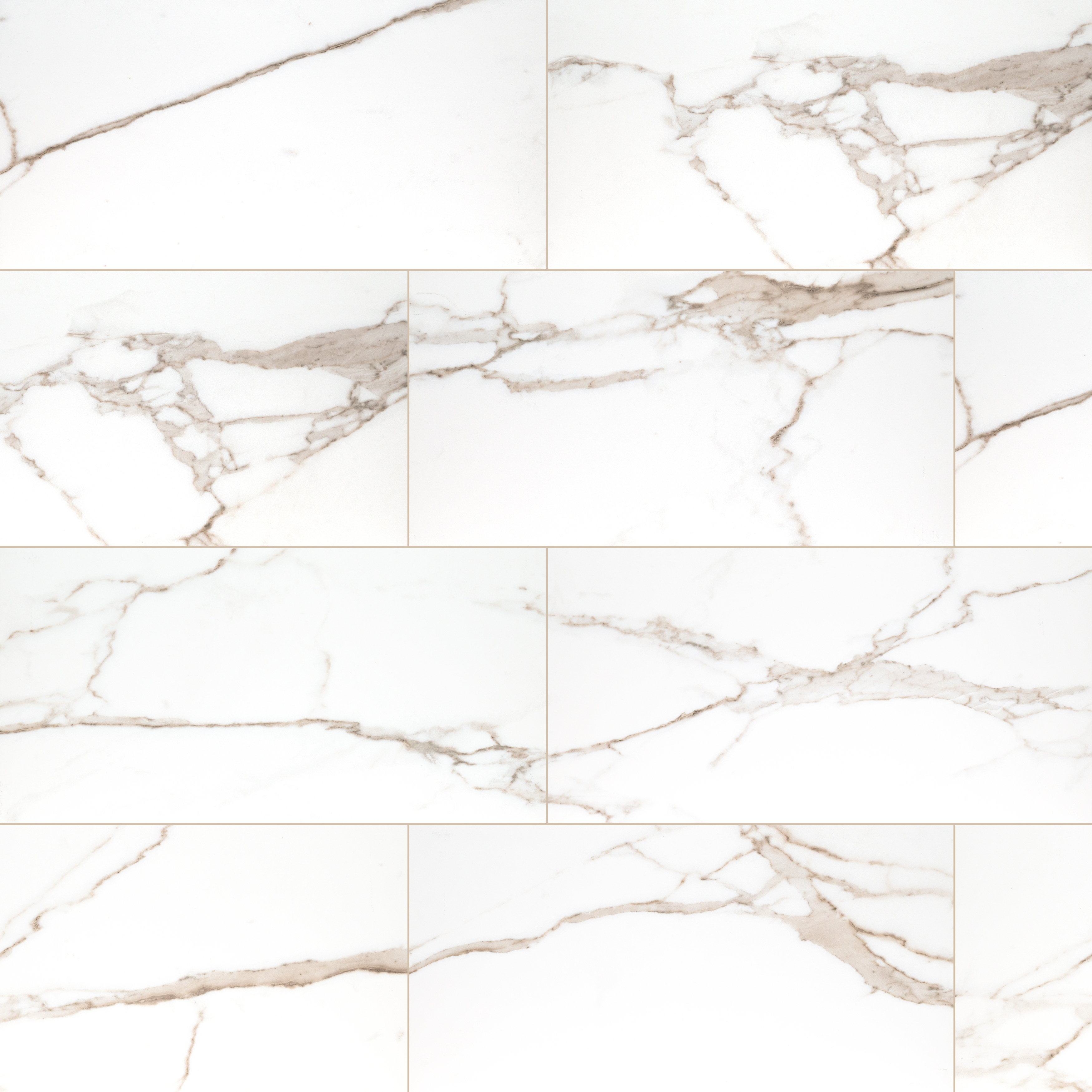 Ackland Velluto 12 in. x 24 in. Polished Porcelain Marble Look Floor ...