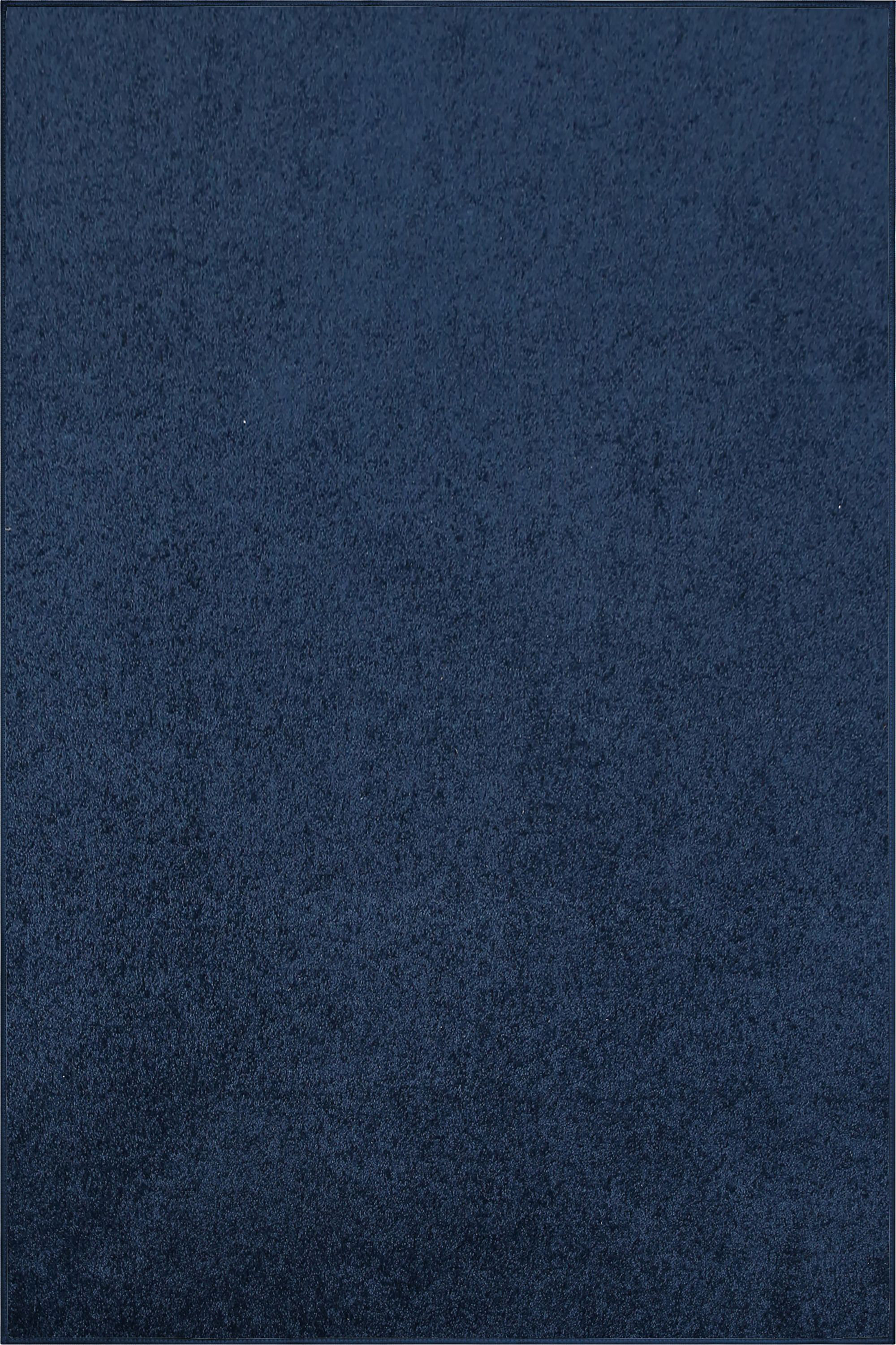 Latitude Run® Navy Solid Color Rug & Reviews | Wayfair